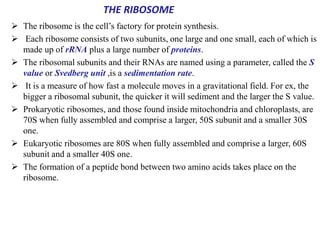 MolecularbiologyPpt.pptfgxhhhhhhhhhhhhhh | PPTX