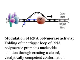 Molecular biology presentation | PPT