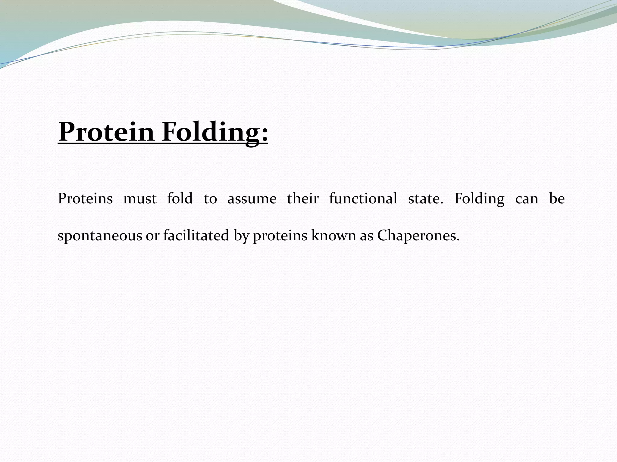 Molecular Biology Presentation.pptx