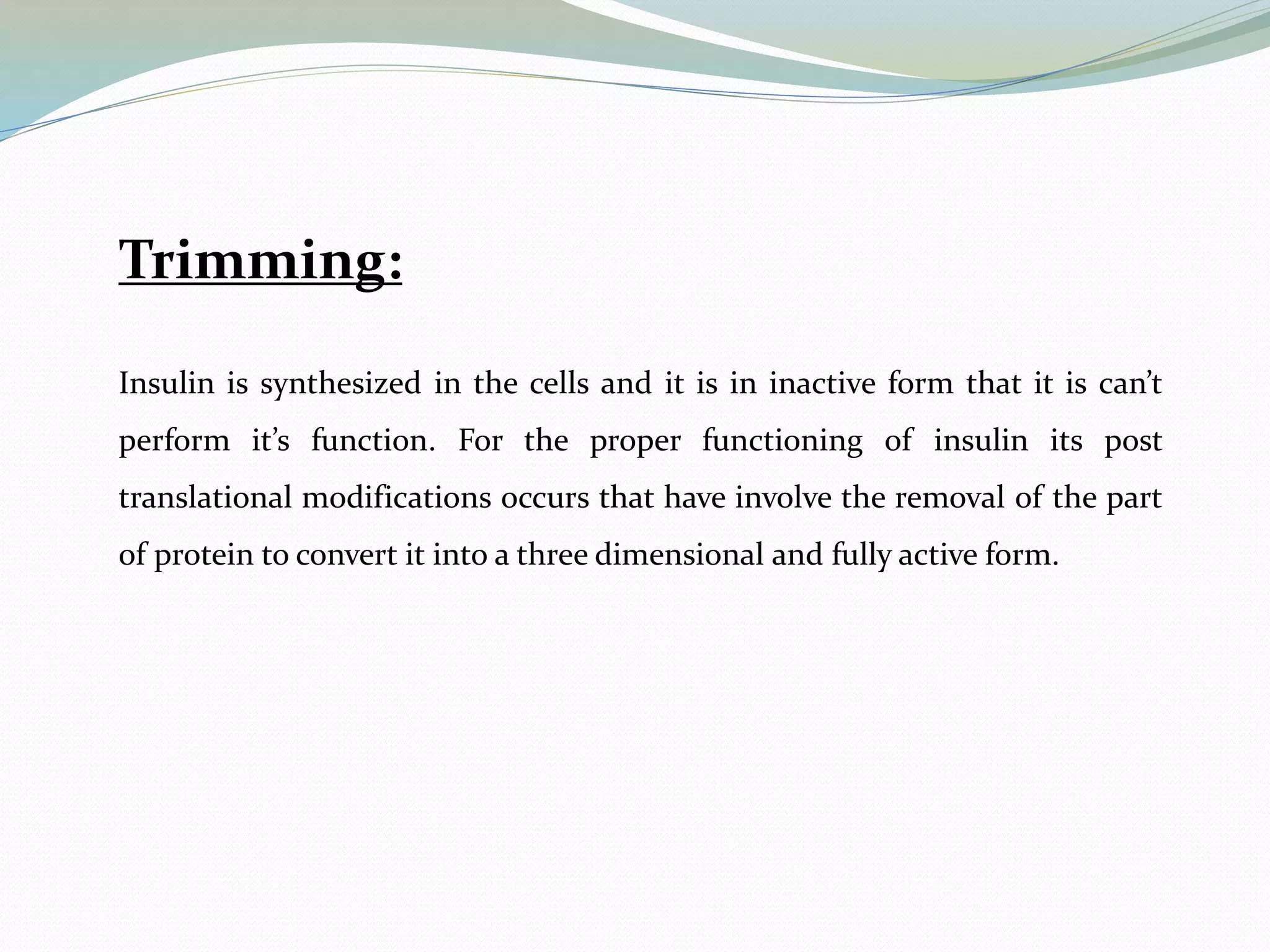 Molecular Biology Presentation.pptx