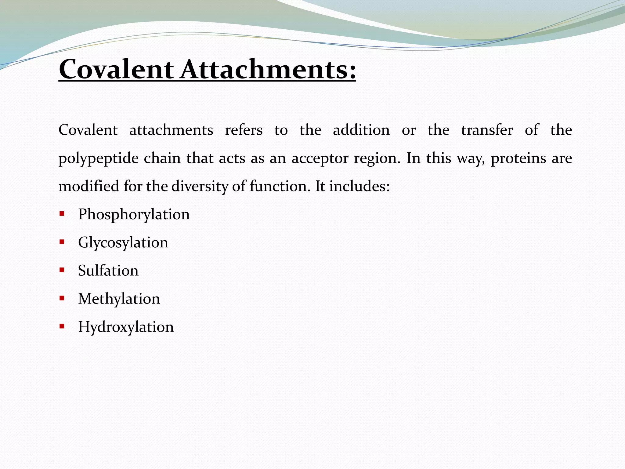 Molecular Biology Presentation.pptx