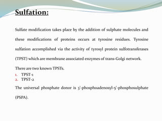 Molecular Biology Presentation.pptx