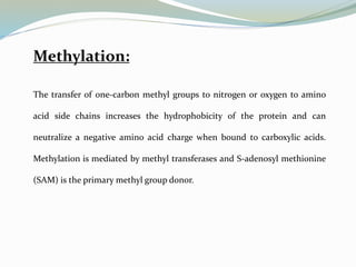 Molecular Biology Presentation.pptx