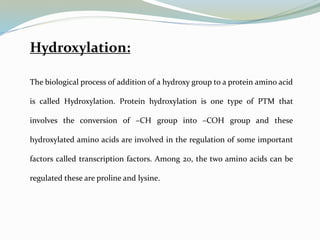 Molecular Biology Presentation.pptx