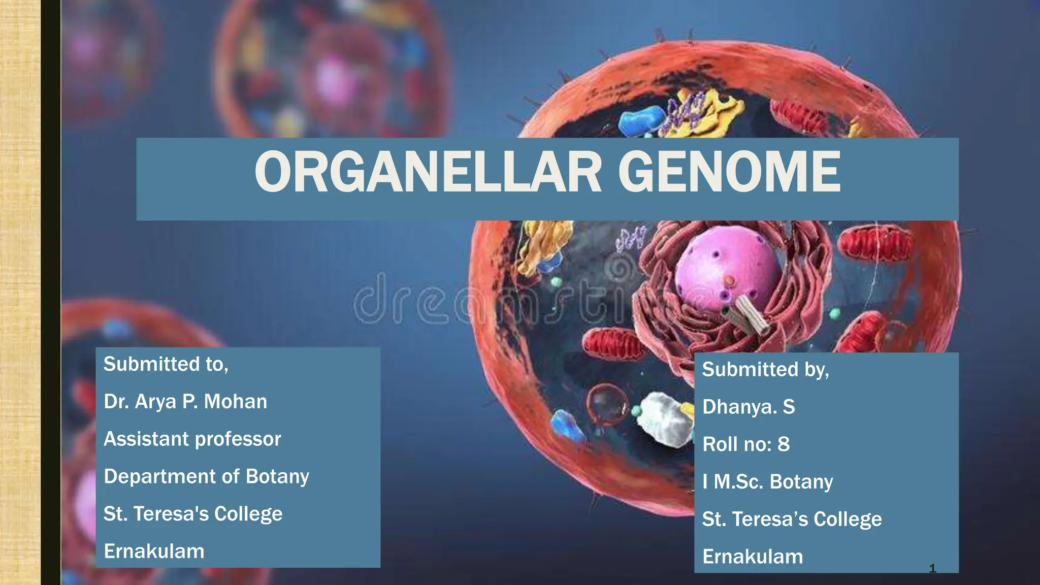 Organellar genome: chloroplast, mitochondria etc pptx | PPTX
