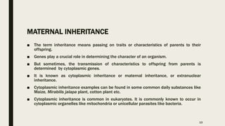 Organellar genome: chloroplast, mitochondria etc pptx | PPTX