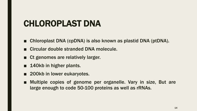 Organellar genome: chloroplast, mitochondria etc pptx | PPTX