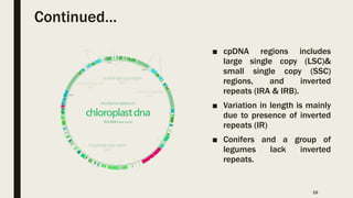 Organellar genome: chloroplast, mitochondria etc pptx | PPTX