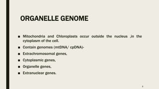 Organellar genome: chloroplast, mitochondria etc pptx | PPTX