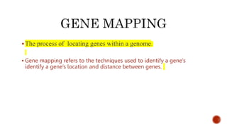 Gene mapping.pptx/ molecular biology/ gene linkage | PPTX | Genetics ...