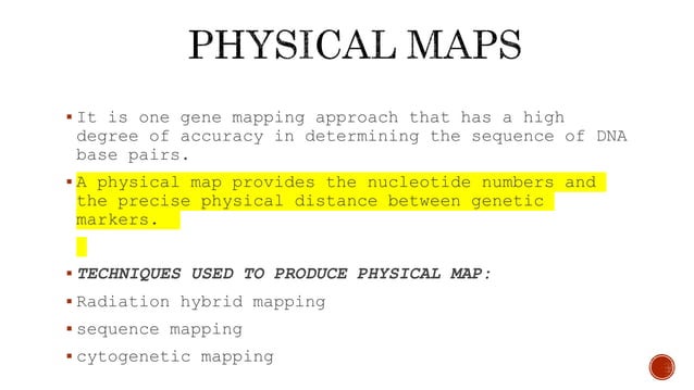 Gene mapping.pptx/ molecular biology/ gene linkage | PPTX | Genetics ...