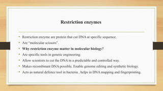 Restriction enzymes and digestion of vector.pptx