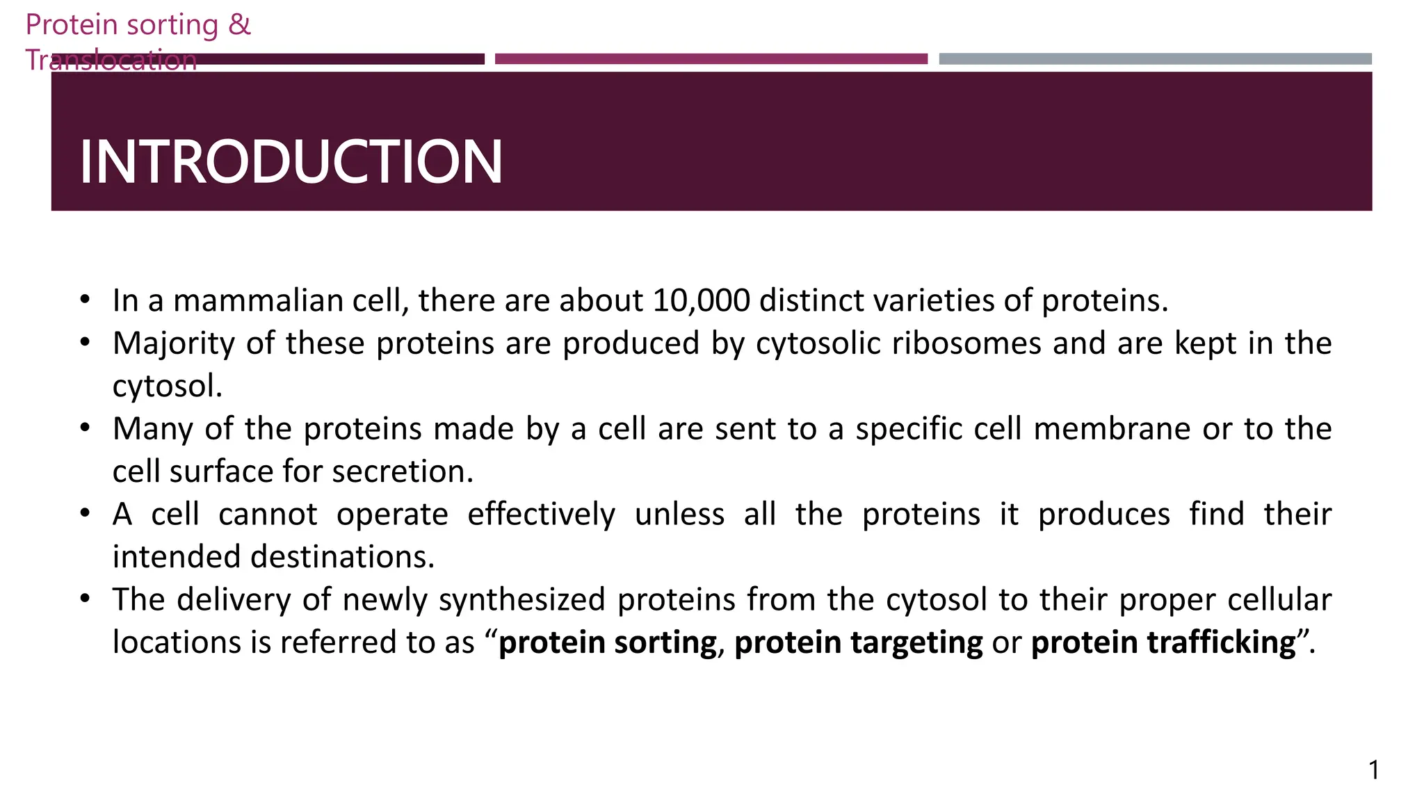 Protein sorting and translocation. pptx | PPT