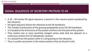 Protein sorting and translocation. pptx | PPT
