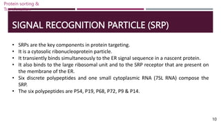 Protein sorting and translocation. pptx | PPT