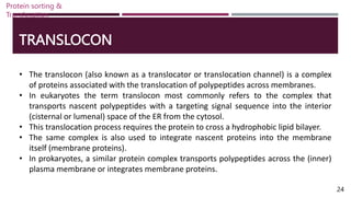 Protein sorting and translocation. pptx | PPT