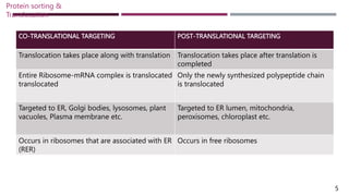 Protein sorting and translocation. pptx | PPT
