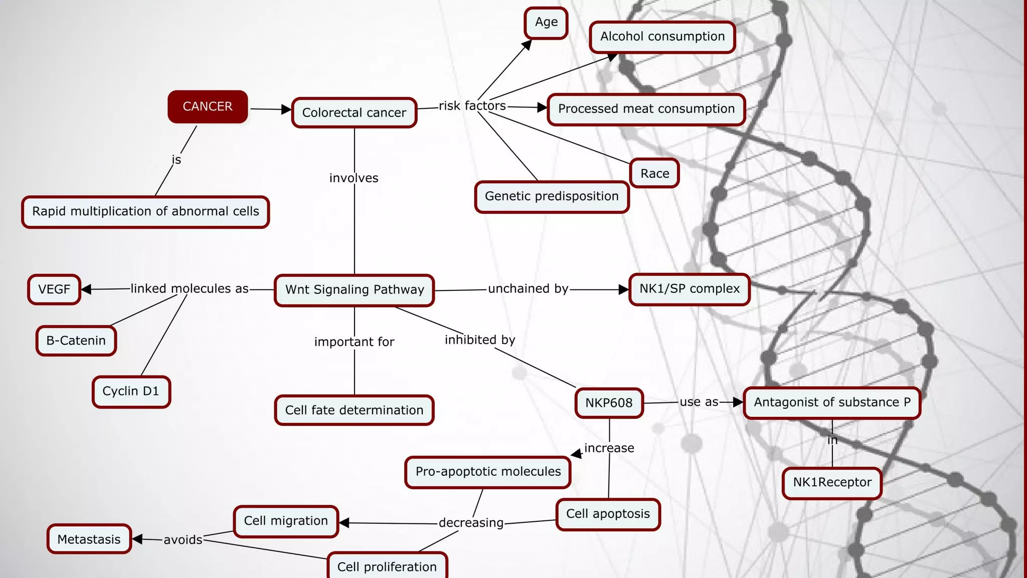 The NK1 receptor antagonist NKP608 inhibits proliferation of colorectal ...