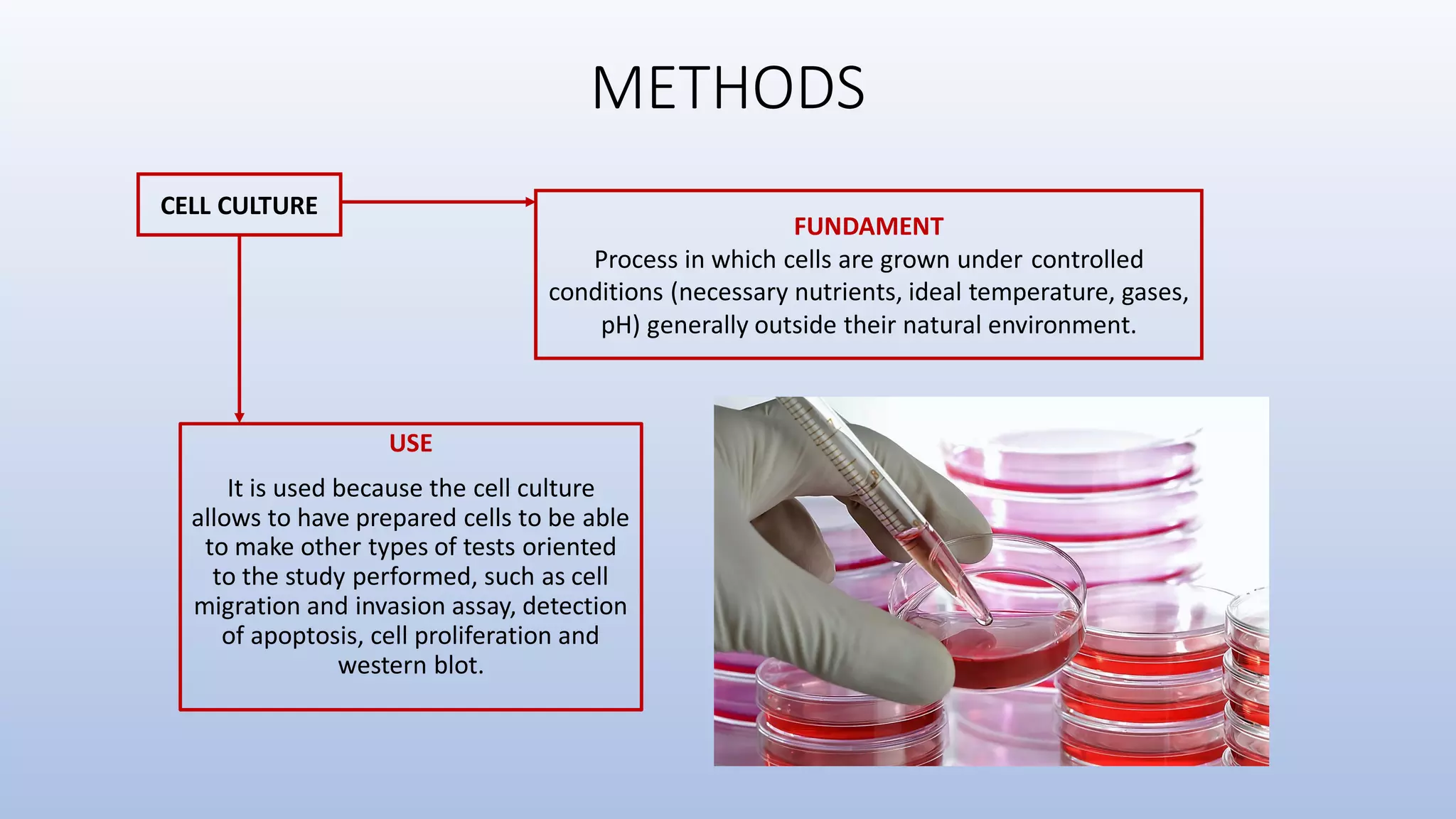 The NK1 receptor antagonist NKP608 inhibits proliferation of colorectal ...