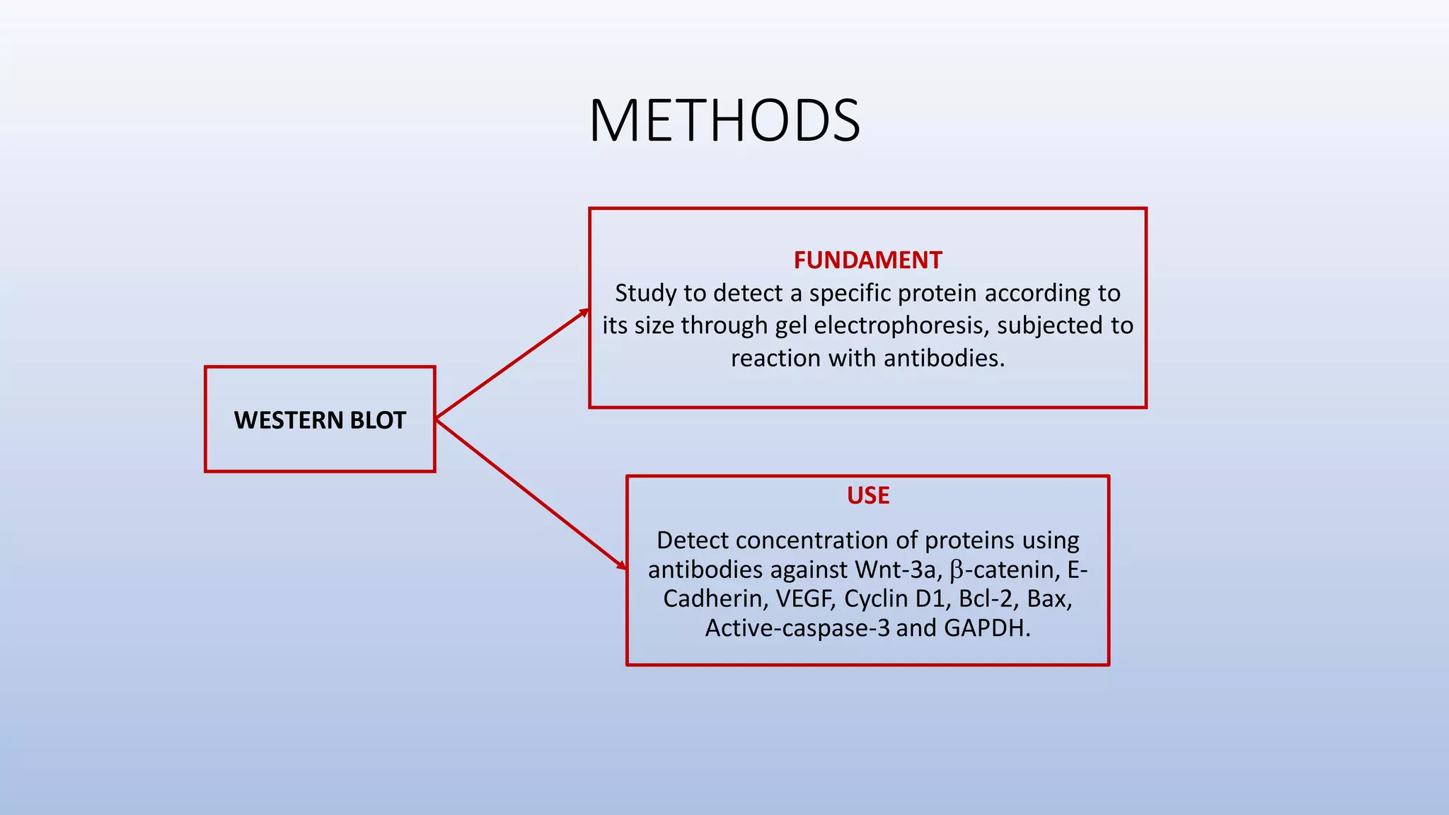 The NK1 receptor antagonist NKP608 inhibits proliferation of colorectal ...