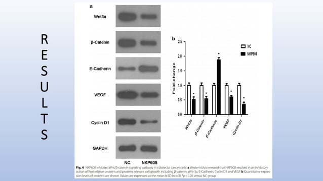 The NK1 receptor antagonist NKP608 inhibits proliferation of colorectal ...