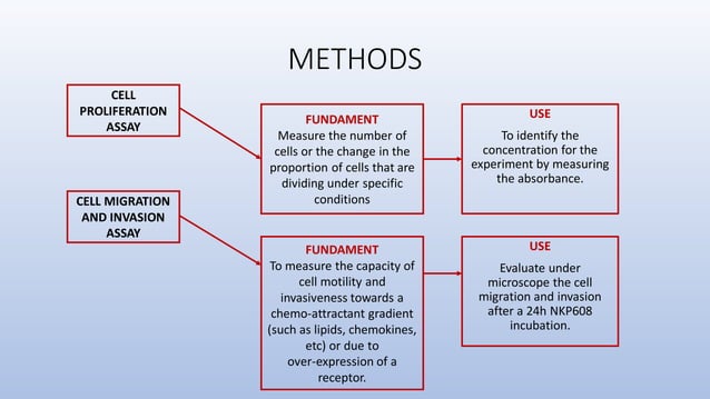 The NK1 receptor antagonist NKP608 inhibits proliferation of colorectal ...