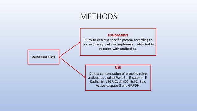 The NK1 receptor antagonist NKP608 inhibits proliferation of colorectal ...