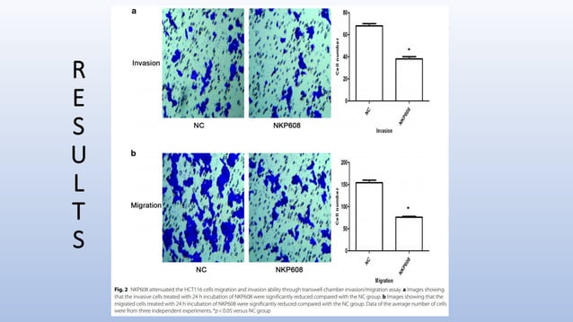 The NK1 receptor antagonist NKP608 inhibits proliferation of colorectal ...