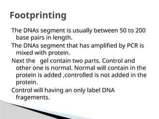 molecular biology DNA finger printing technique | PPT