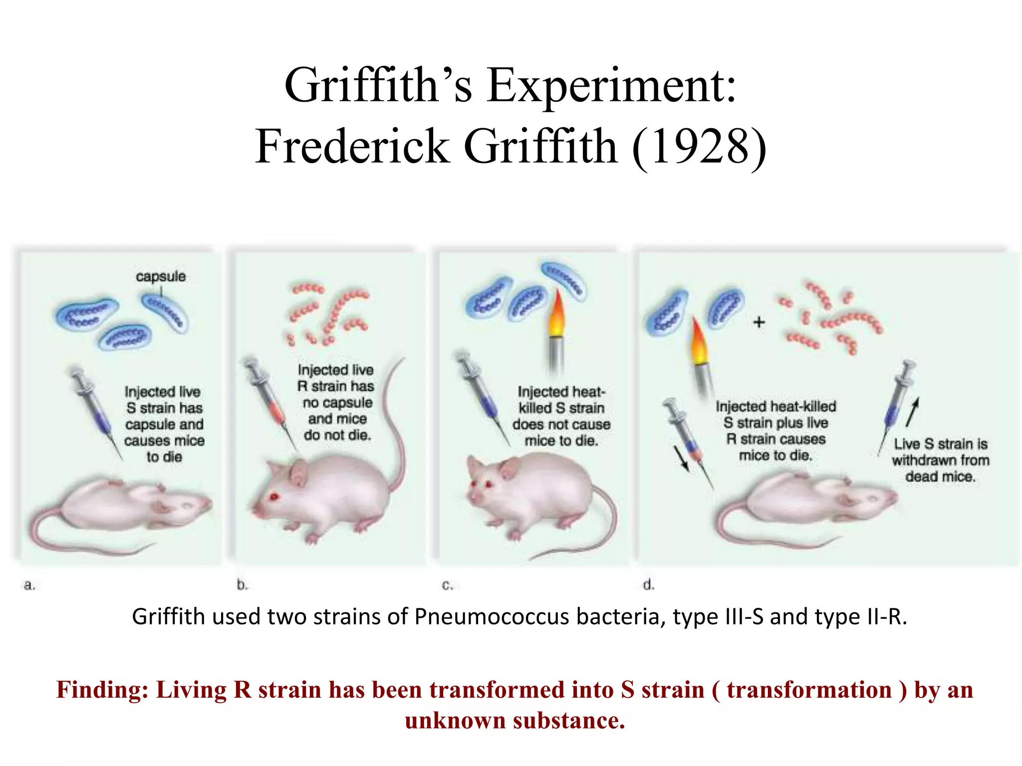 Molecular Biology Spots.pptx