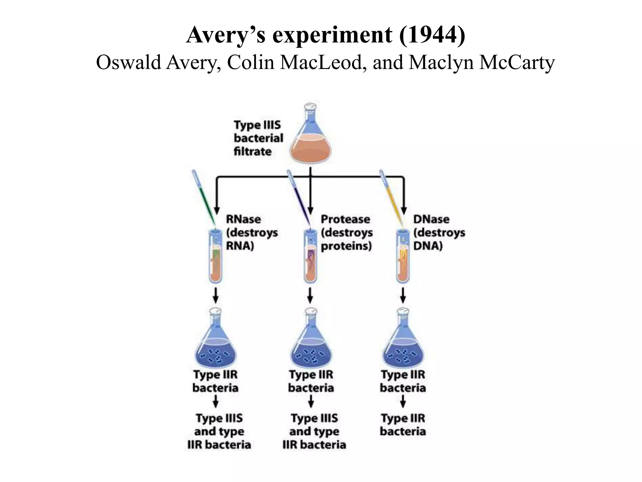 Molecular Biology Spots.pptx