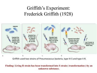 Molecular Biology Spots.pptx