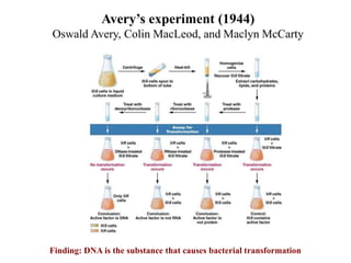 Molecular Biology Spots.pptx