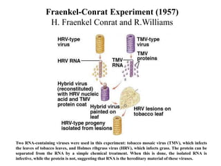 Molecular Biology Spots.pptx