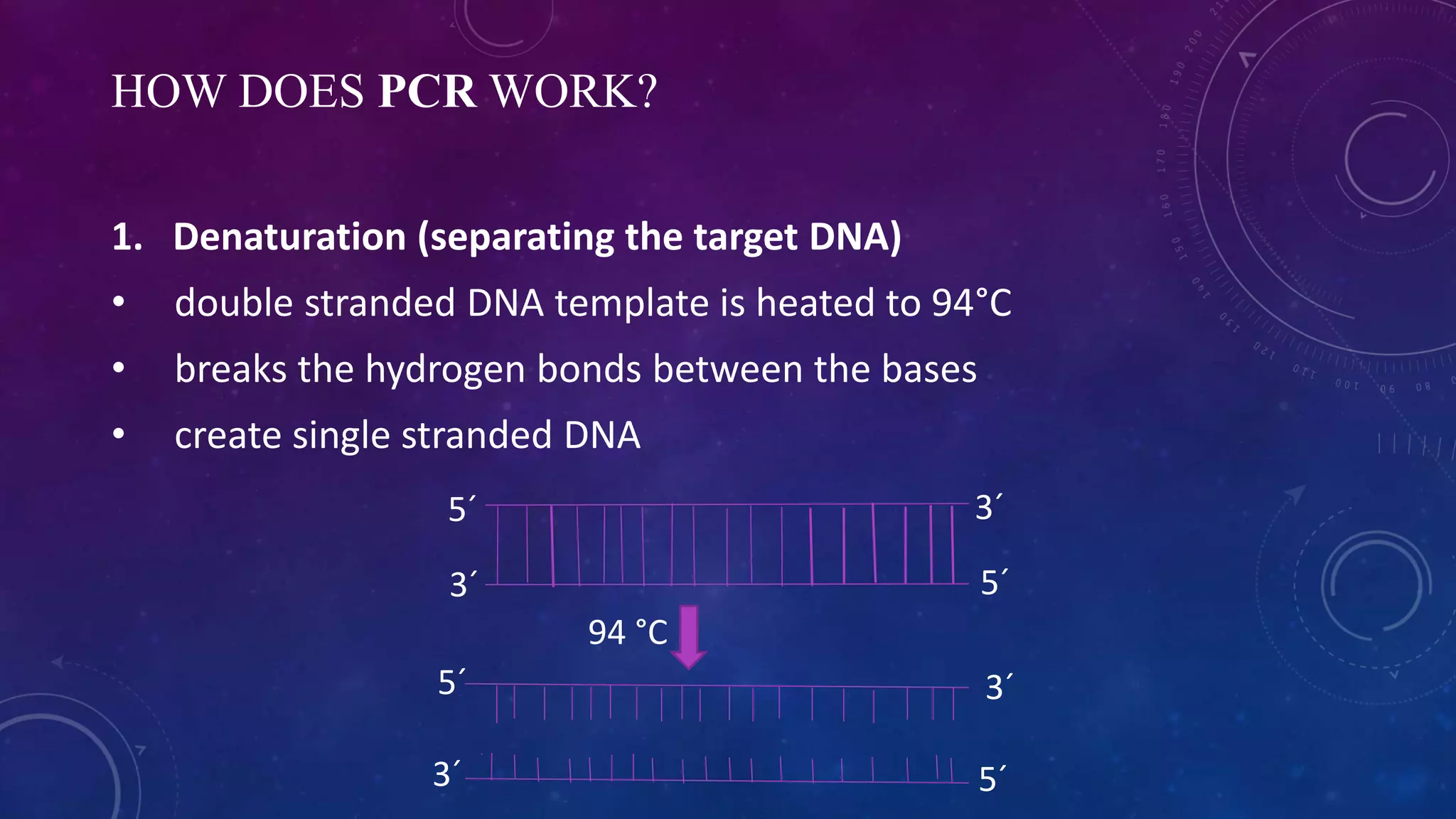 Molecular Biology Techniques - PCR | PPT