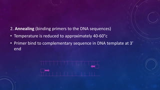 Molecular Biology Techniques - PCR | PPT