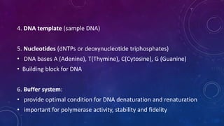 Molecular Biology Techniques - PCR | PPT