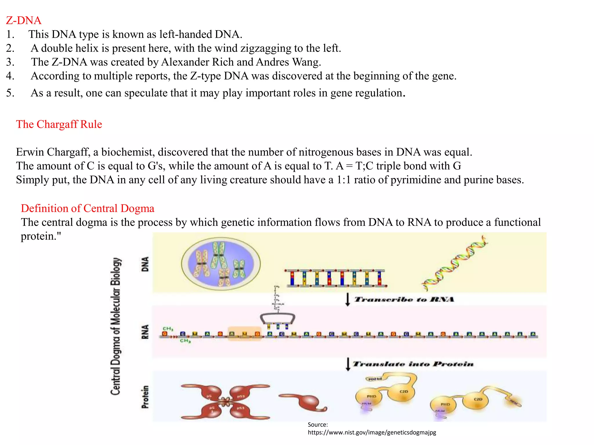 Molecular Biology UNIT-1.pptx