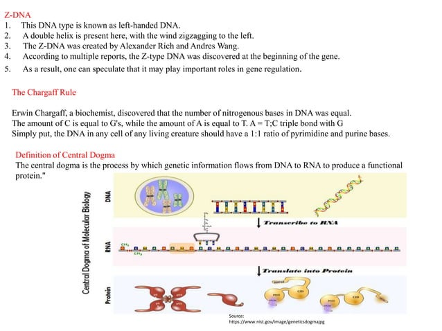 Molecular Biology UNIT-1.pptx