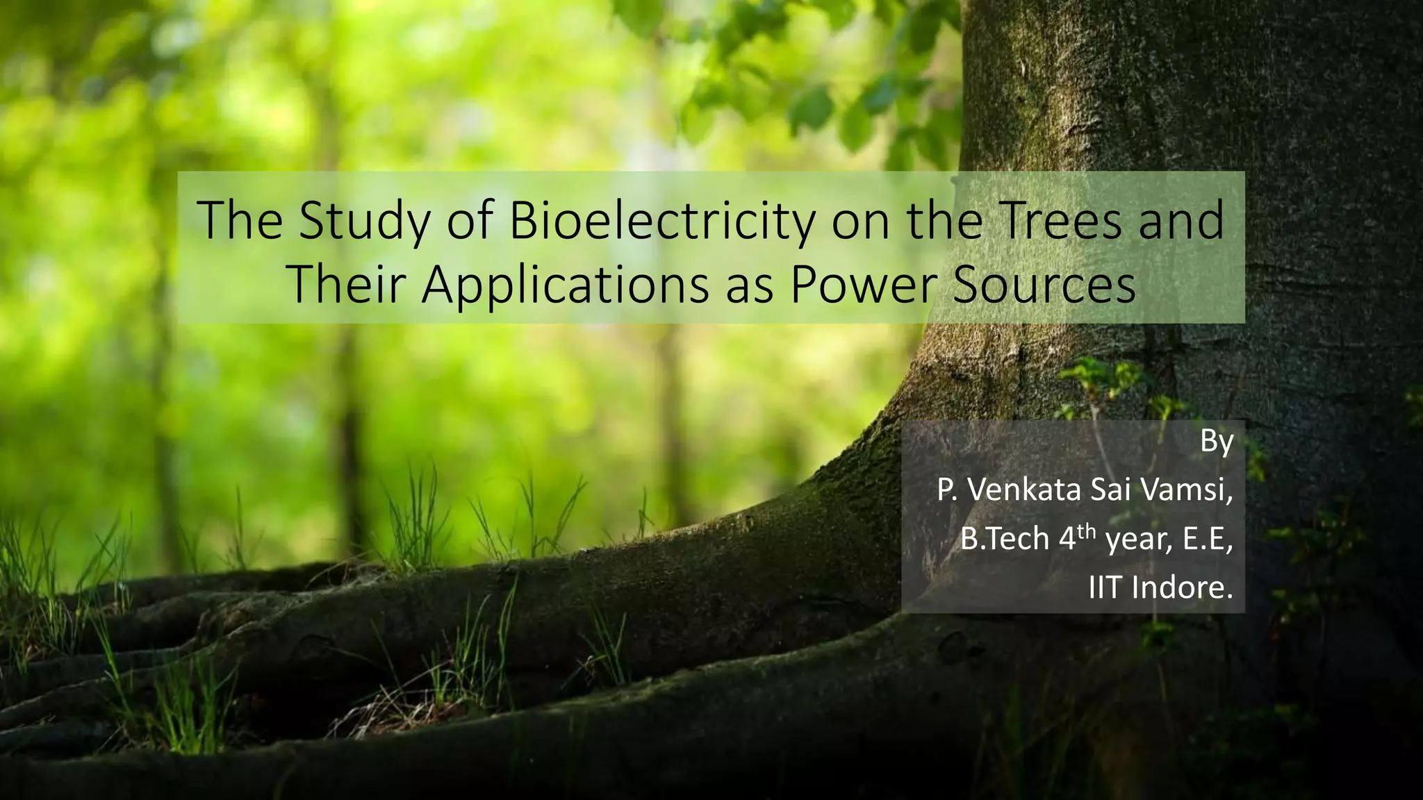 The study of bio-electricity in plants and their application as power ...