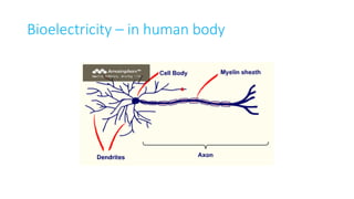 The study of bio-electricity in plants and their application as power ...