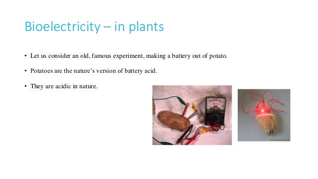 The study of bio-electricity in plants and their application as power…