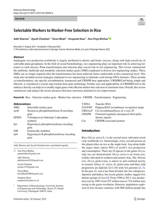 Selectable Markers to Marker‑Free Selection in Rice | PDF