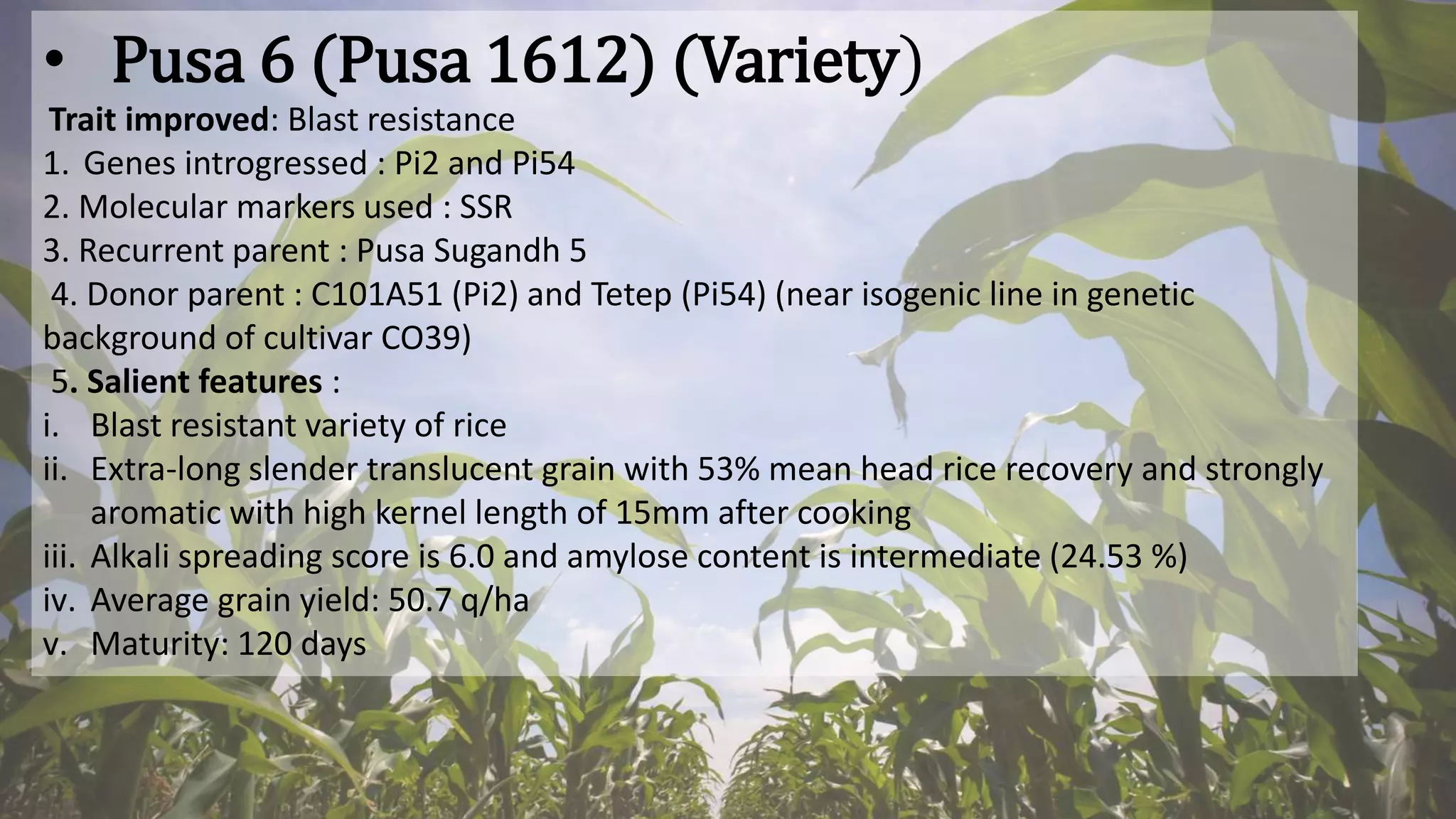 molecular breeding achievement in crop improvement.pptx