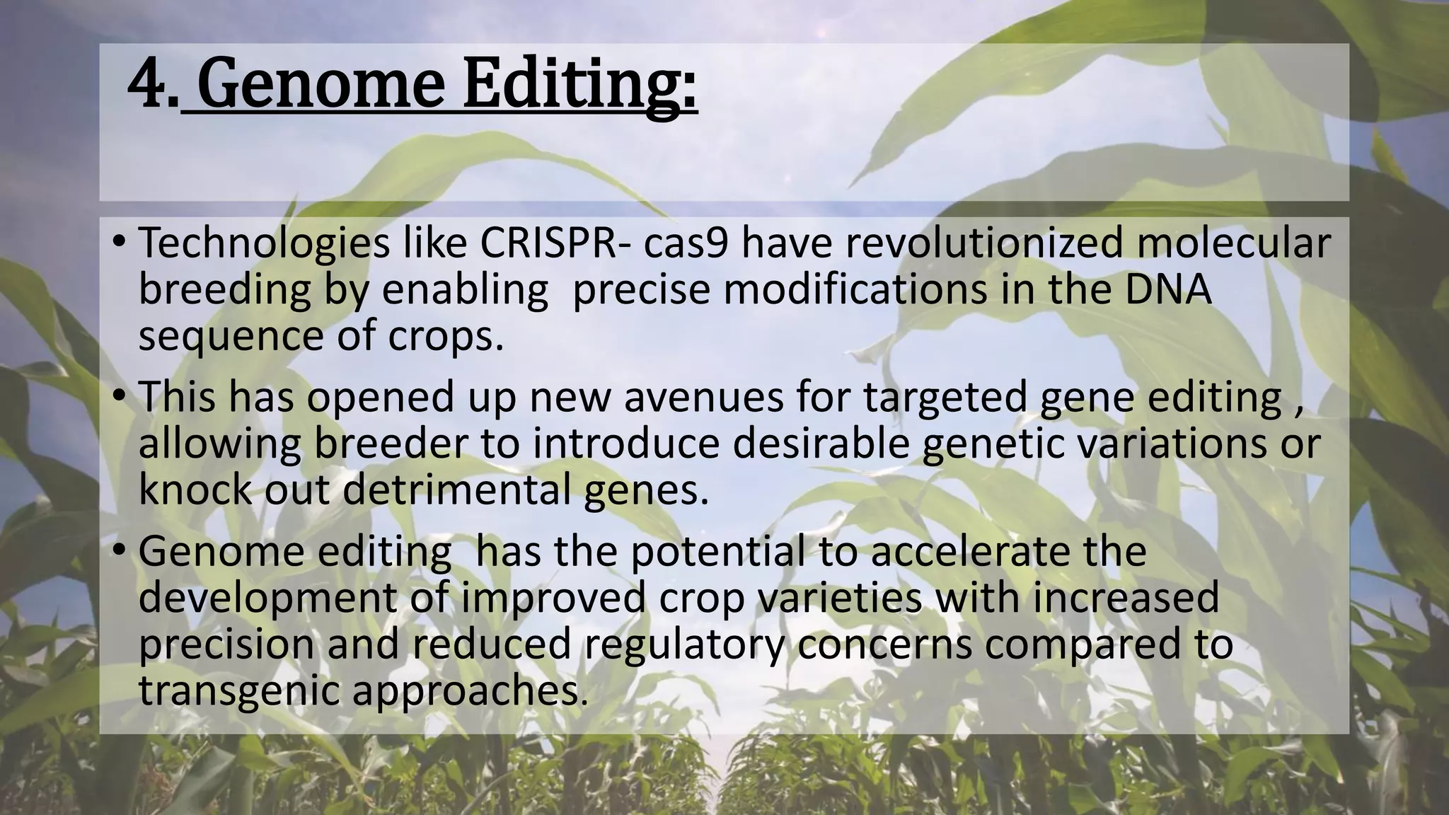 molecular breeding achievement in crop improvement.pptx