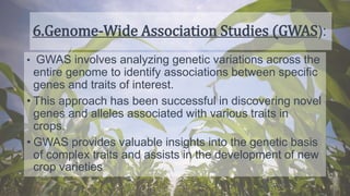 molecular breeding achievement in crop improvement.pptx