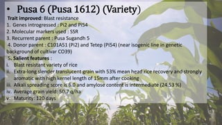 molecular breeding achievement in crop improvement.pptx