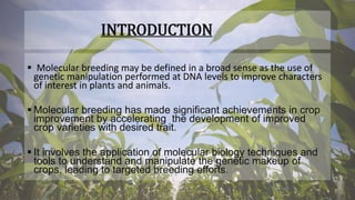 molecular breeding achievement in crop improvement.pptx
