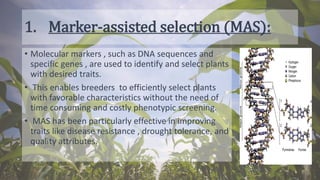 molecular breeding achievement in crop improvement.pptx