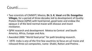 Molecular breeding for quality protein maize | PPTX